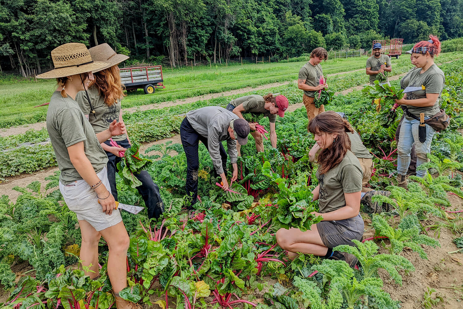 How To Guide For Food Service - UMass Dining Sustainability